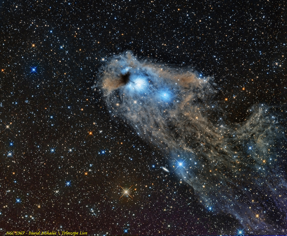 NGC 5367 - reflection nebula in Centaurus | Telescope Live NGC 5367 - reflection nebula in Centaurus | Telescope Live